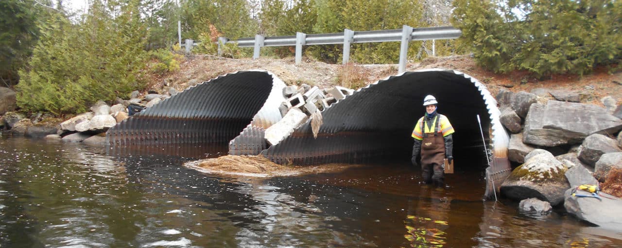 NBIS Bridge Inspection - Hoyle Tanner