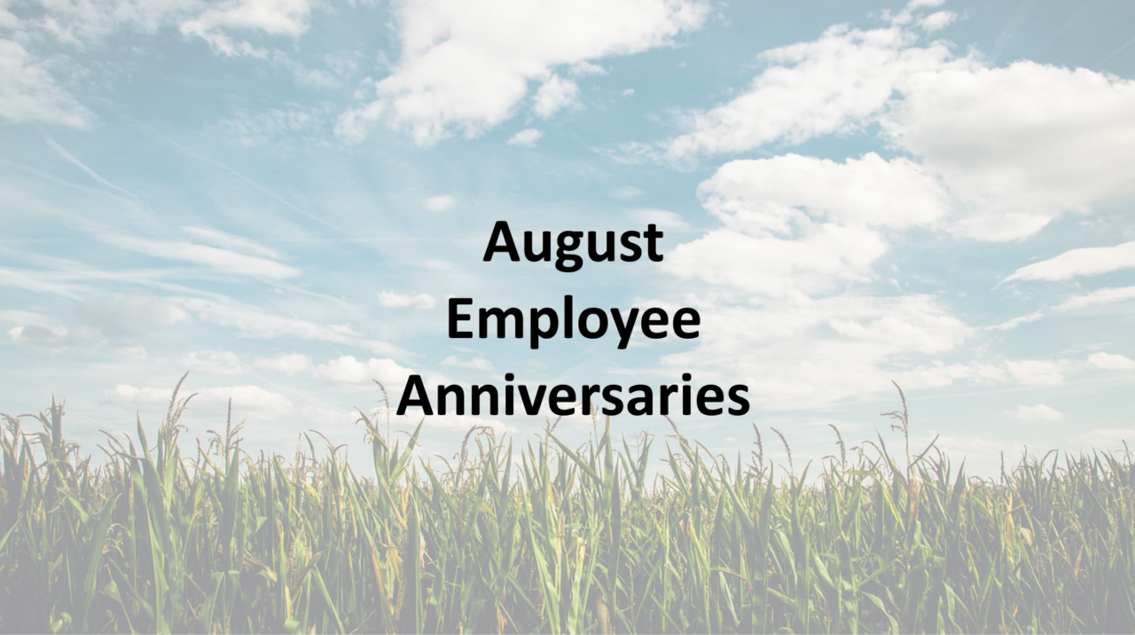 August Employee Anniversaries - Hoyle Tanner