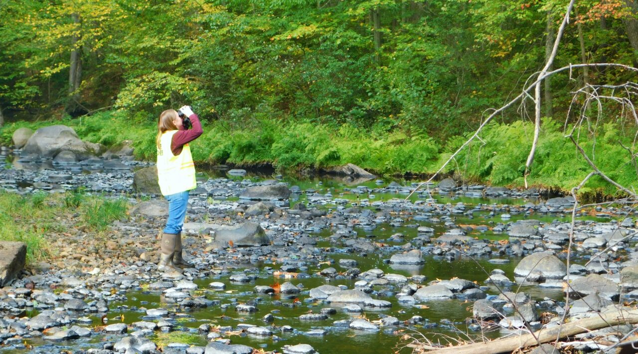 How & Why Certified Wetland Scientists Matter for Wetland Protection ...